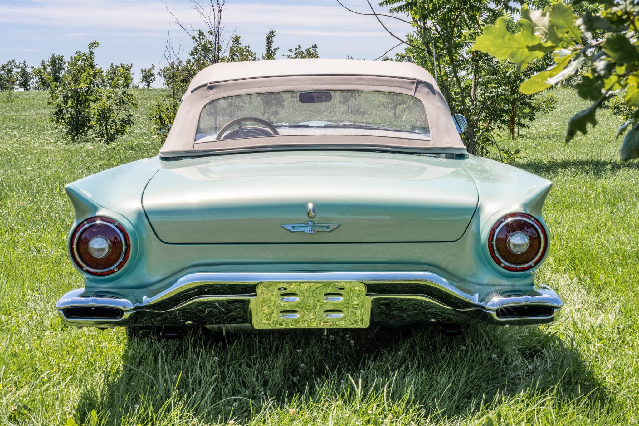 1957 Ford Thunderbird in a field | Ford Thunderbird club group 1955 ...