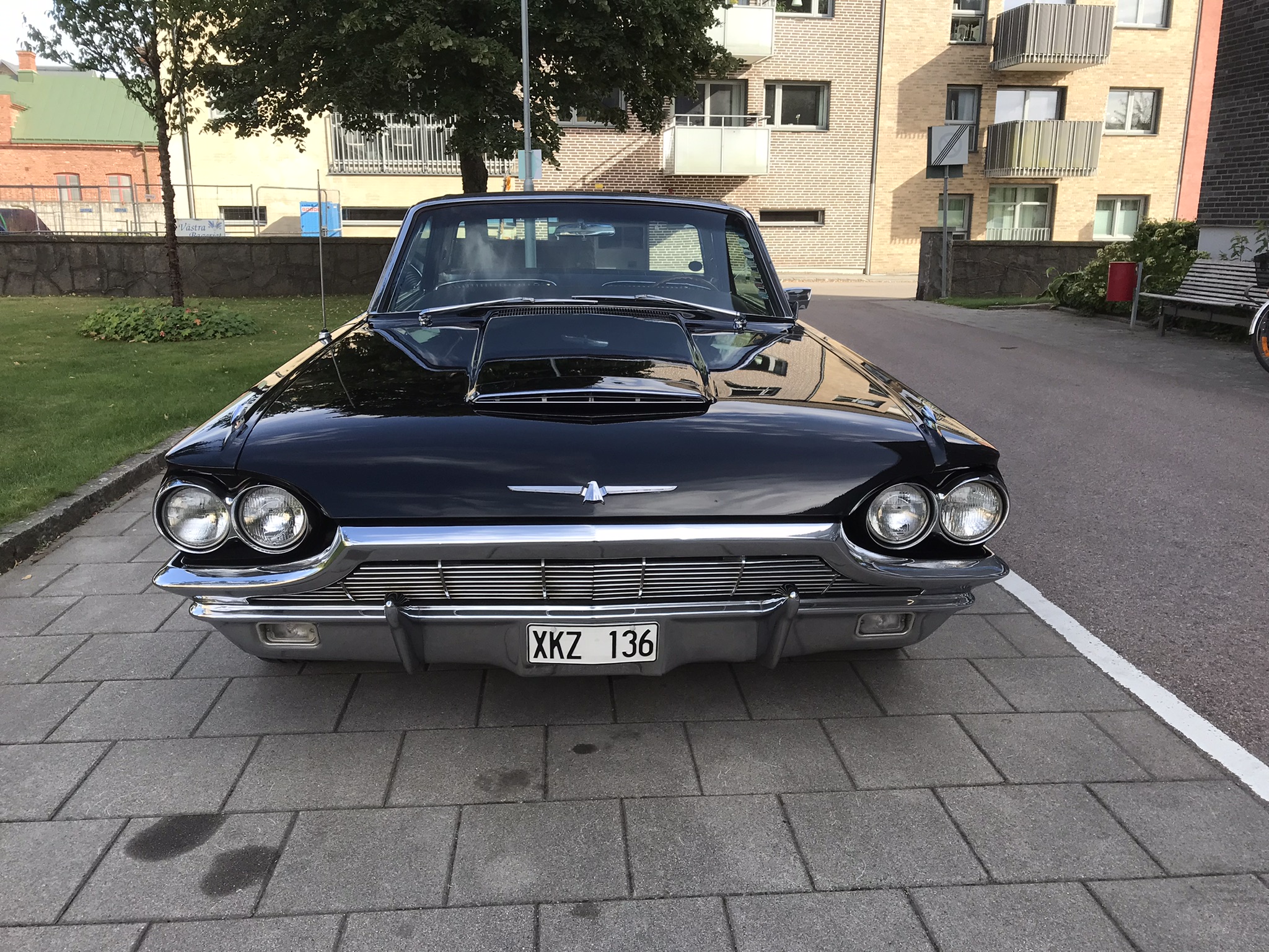 2CC623C9-4D1E-4C9F-BF7F-C8329E5410FA.jpeg | Ford Thunderbird club group ...