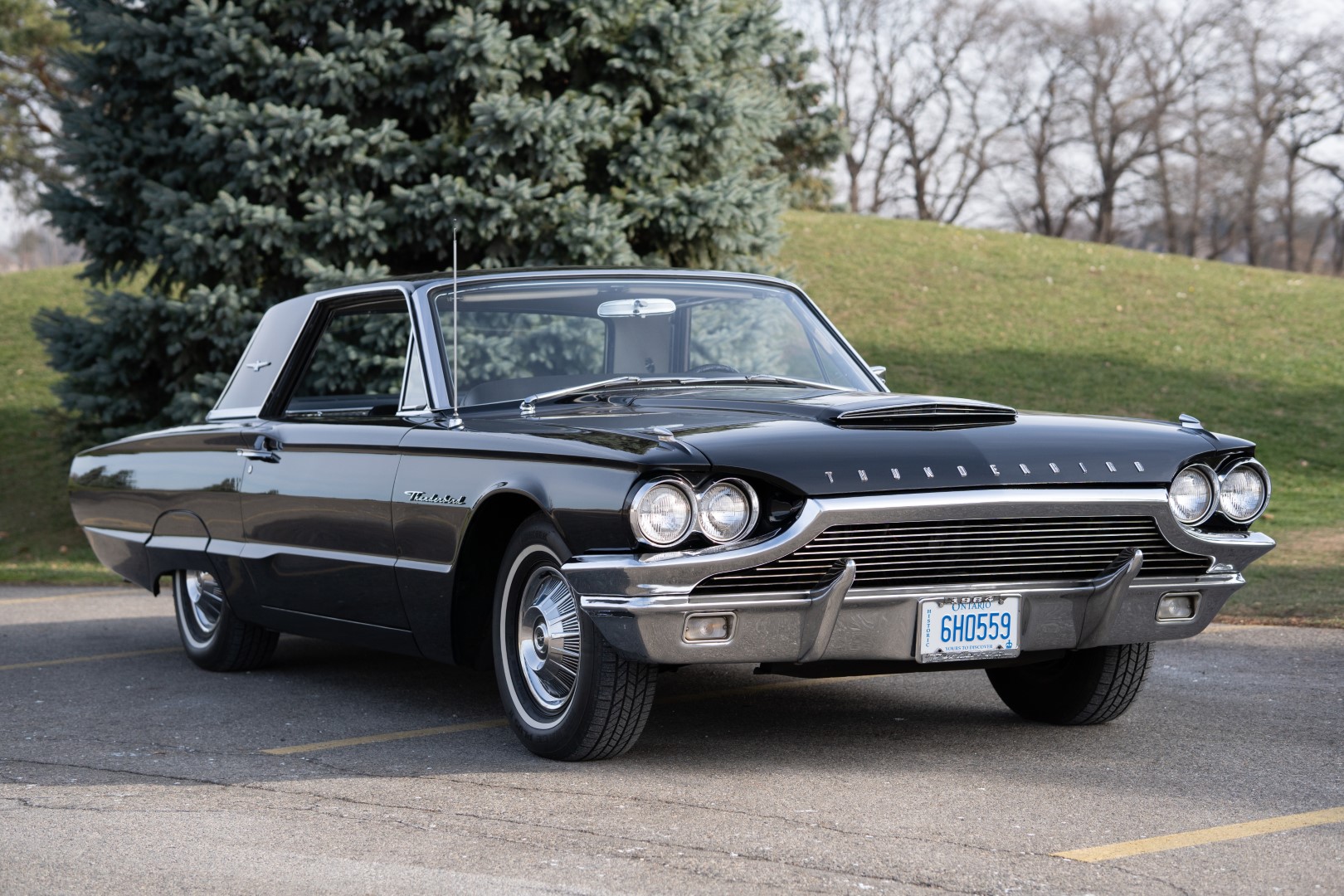 64tbird-83.jpg | Ford Thunderbird club group 1955-2005 T-Bird models