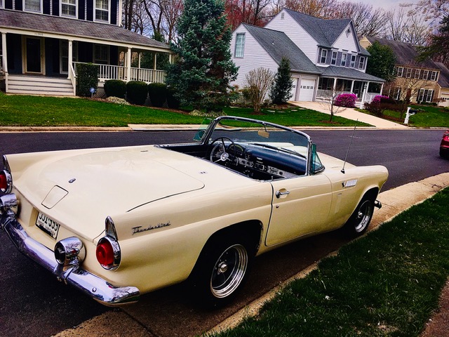 TBIRD REAR.jpg | Ford Thunderbird forum club group 1955-2005 models
